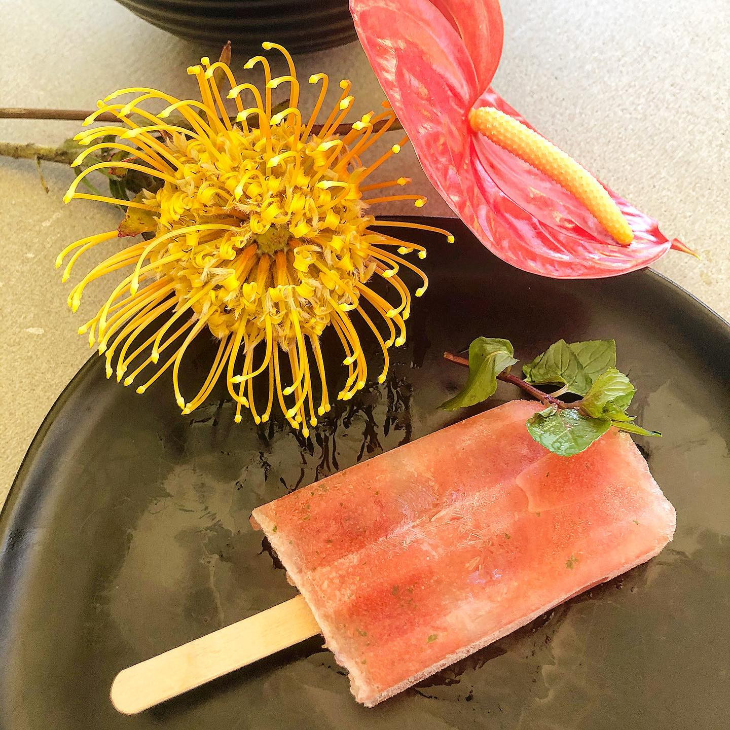 Siesta Key Watermelon Mojito Popsicles | Siesta Key Rum