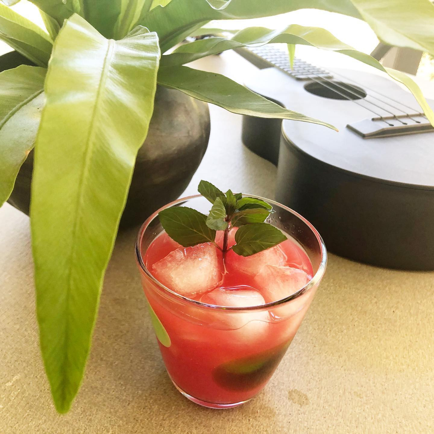 Siesta Key Watermelon Agua Fresca | Siesta Key Rum