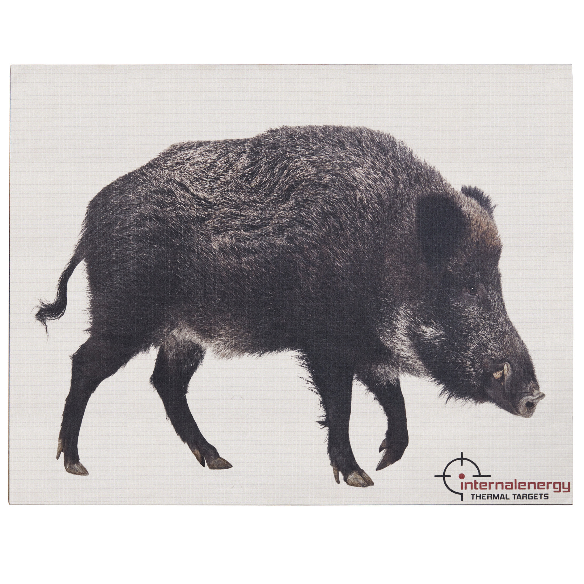 PHOTO REALISTIC THERMAL BOAR – 3 PACK