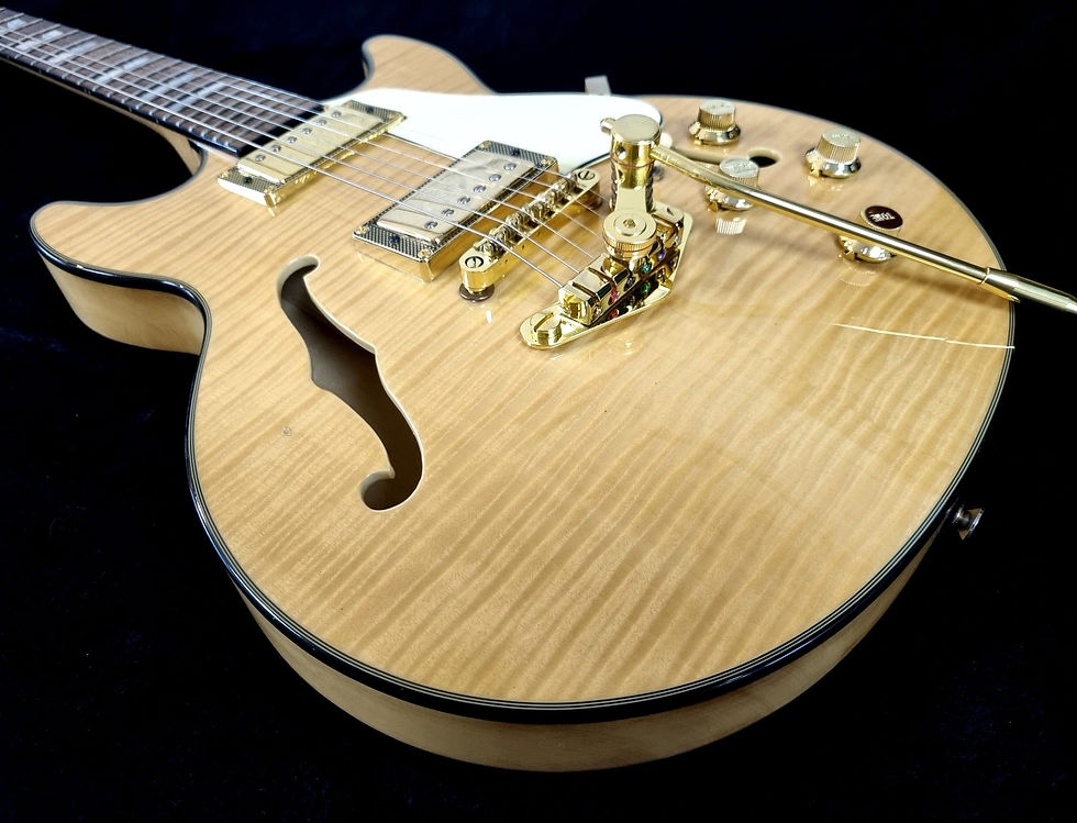 String Theory Guitars | Electric guitars in Bristol | England