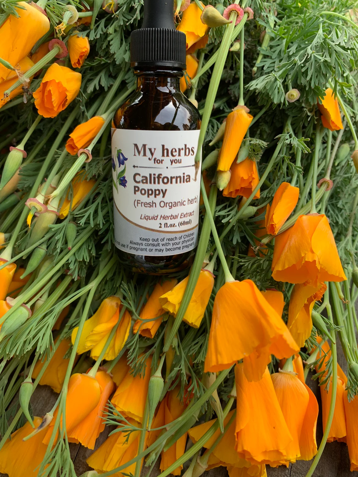 CALIFORNIA POPPY Tincture, Organic | Myherbsforyou