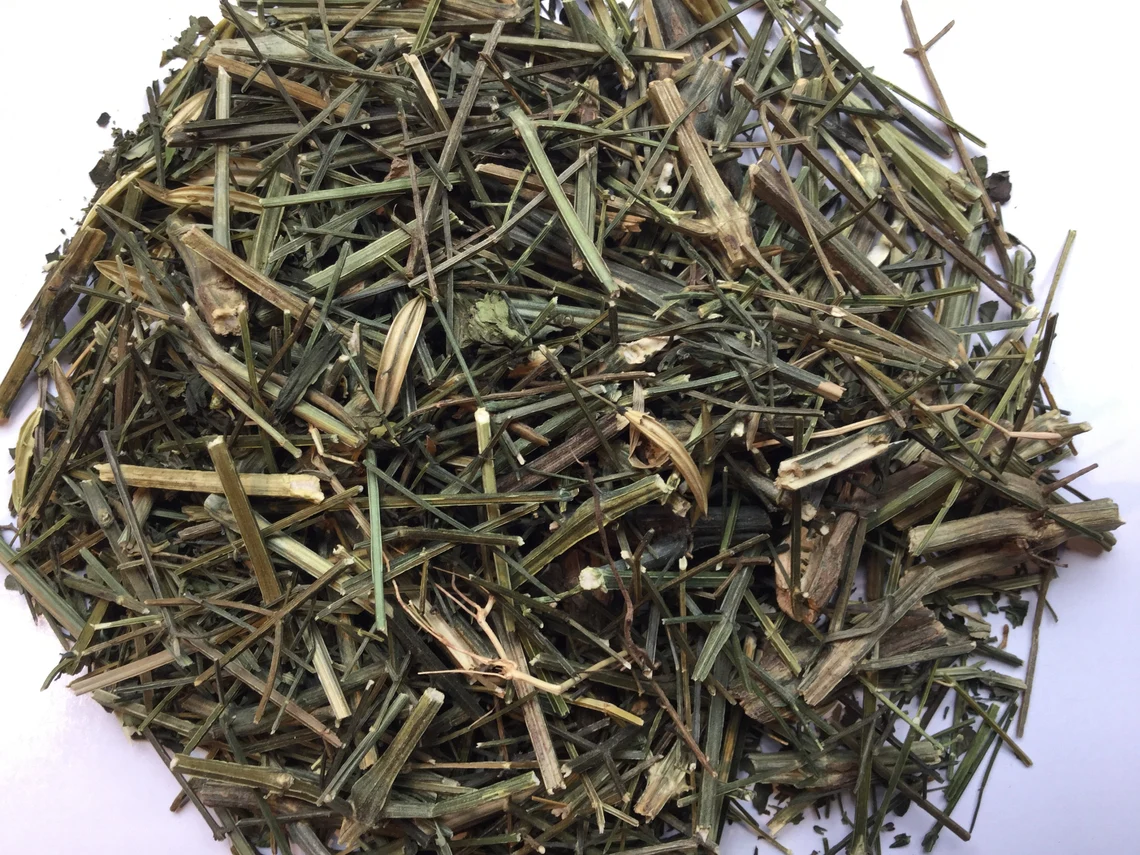 ANDROGRAPHIS Tincture, Organic | Myherbsforyou