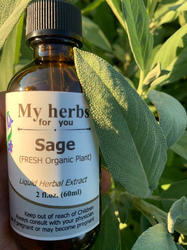 SAGE Tincture, Organic | Myherbsforyou