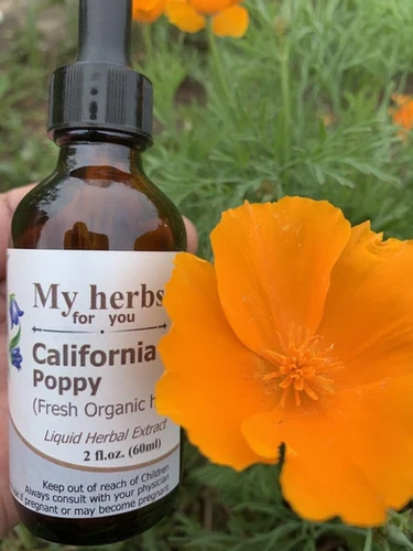 CALIFORNIA POPPY Tincture, Organic | Myherbsforyou