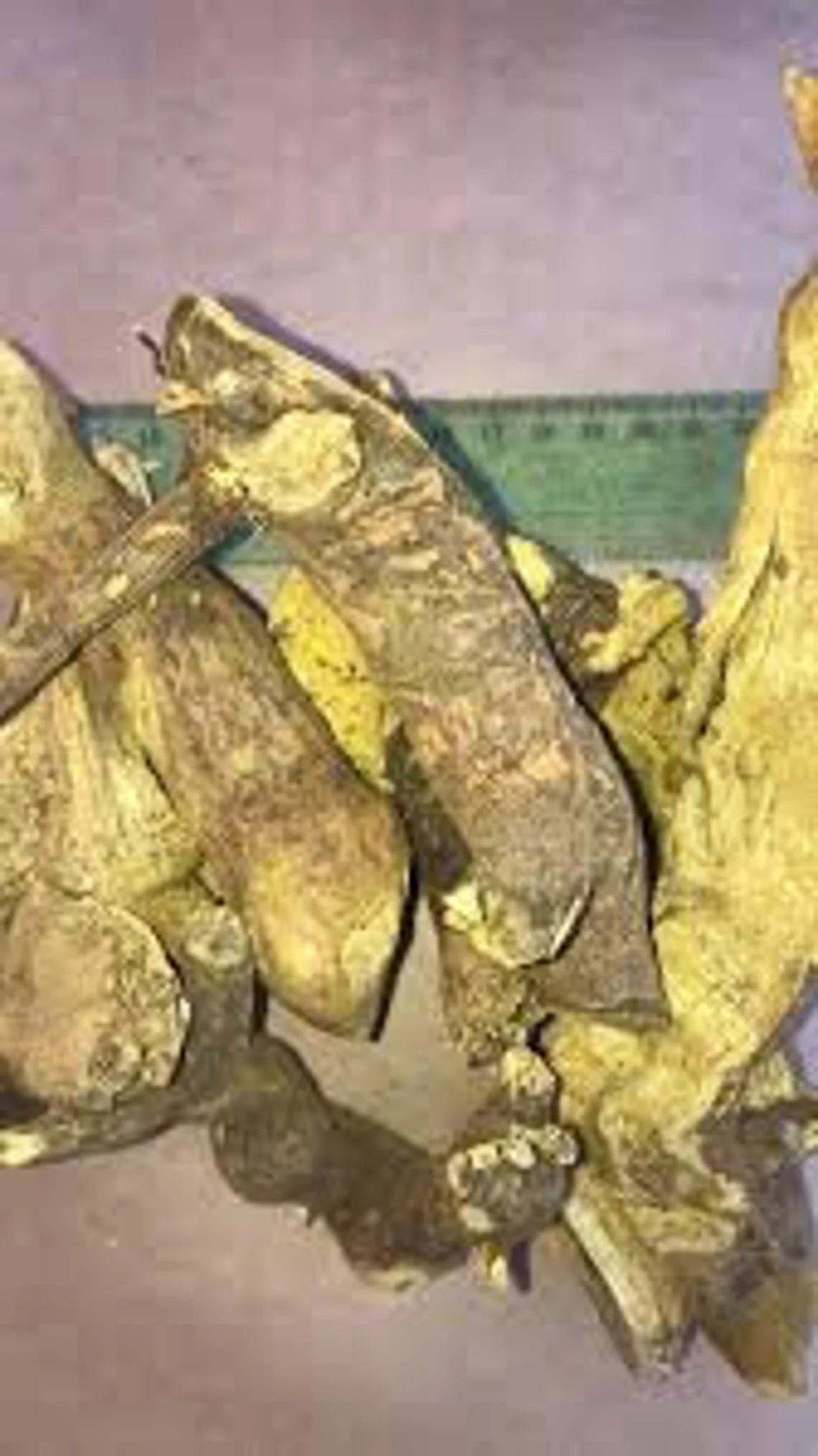 BARBERRY ROOT BARK Tincture | Myherbsforyou