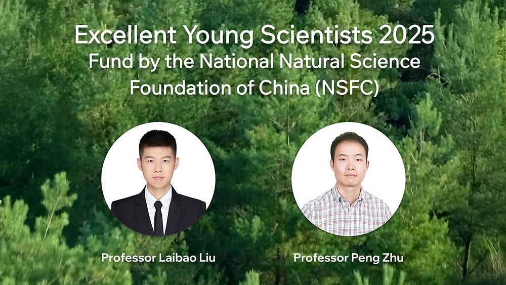 Excellent Young Scientists Fund by the National Natural Science ...