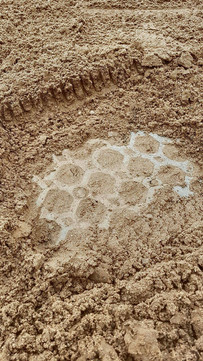 EQUESTRIAN | Mudcontrol