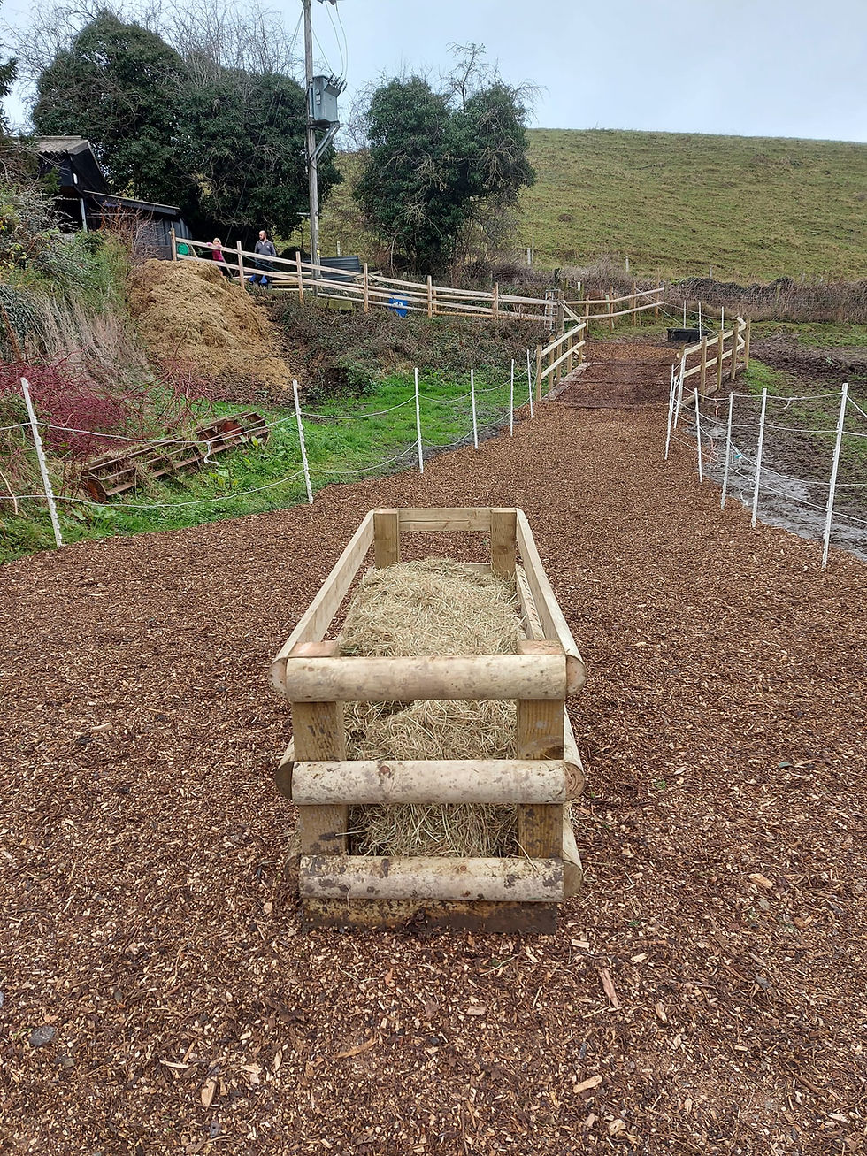 EQUESTRIAN | Mudcontrol