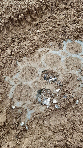 EQUESTRIAN | Mudcontrol