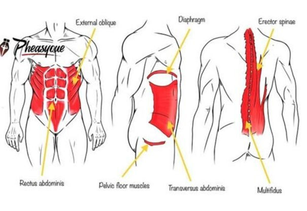 The Pelvic Floor and Bracing Your Core