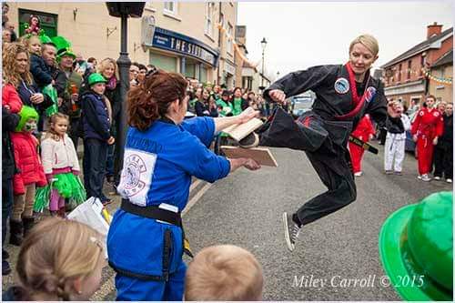Celebrating Saint Patrick's Day around the Arklow district ☘️
