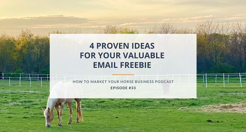 4 Proven Ideas for Your Valuable Email Freebie (AKA Lead Magnet)