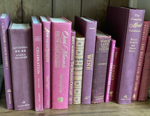 Maroon Books-Set of 5 | Borrowed Eclective