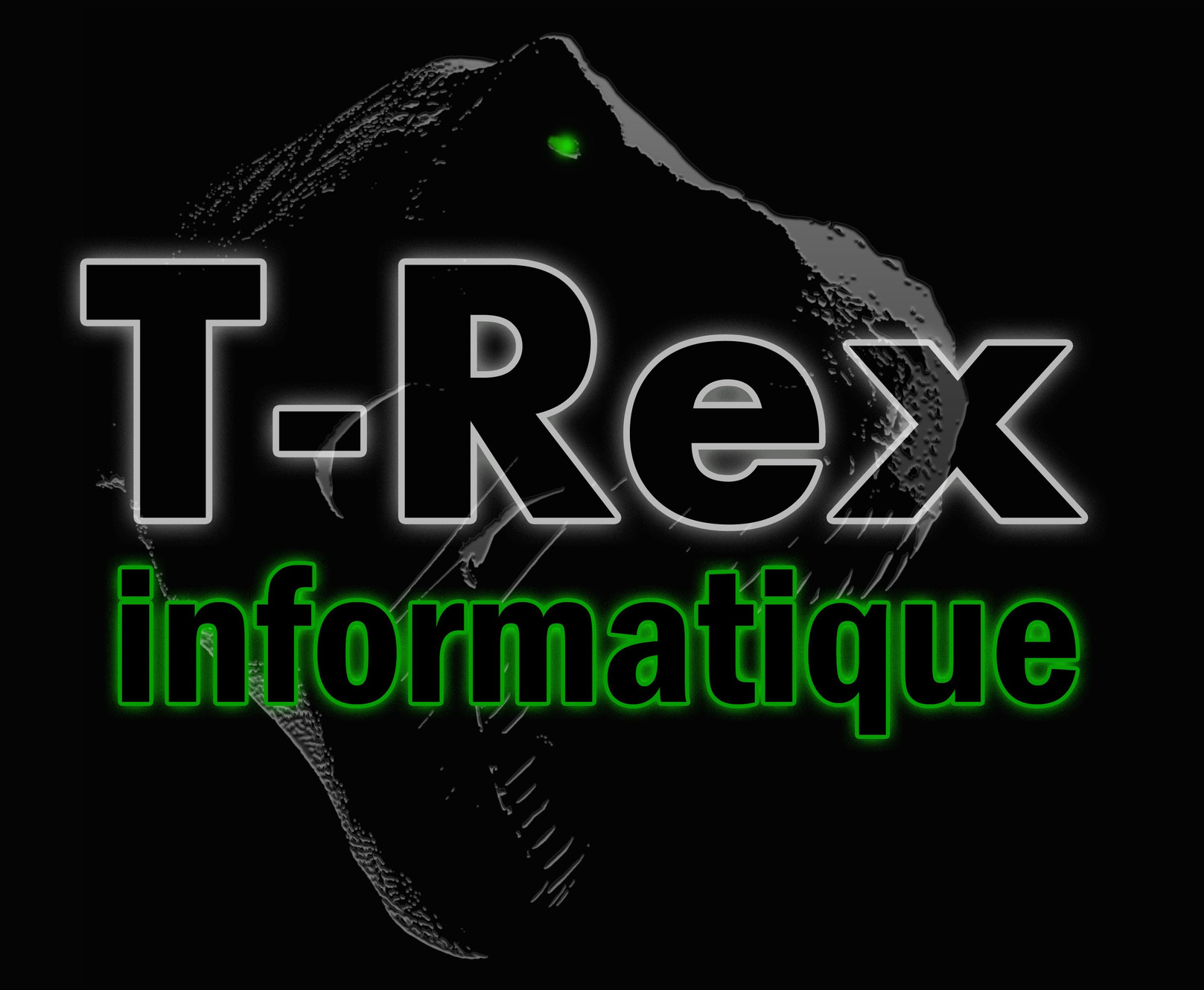 T-REX informatique