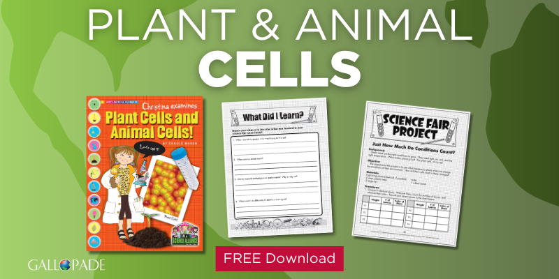 Plant and Animal Cells
