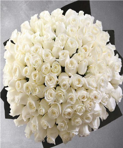 100 White Roses Bouquet | OnTime Flowers