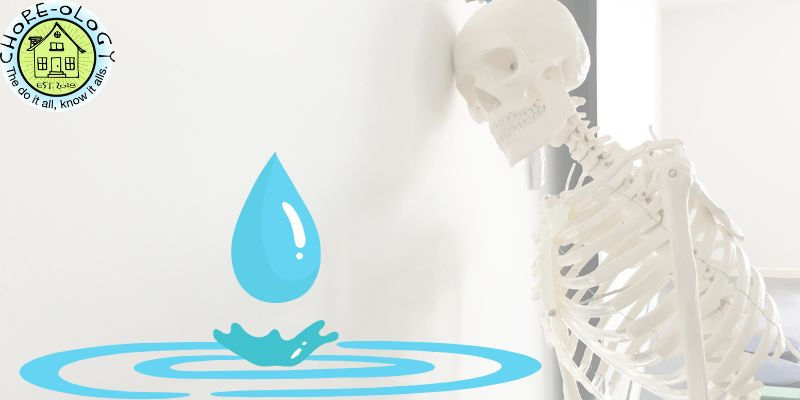 How Does Water Affect Human Body Decomposition & Factors