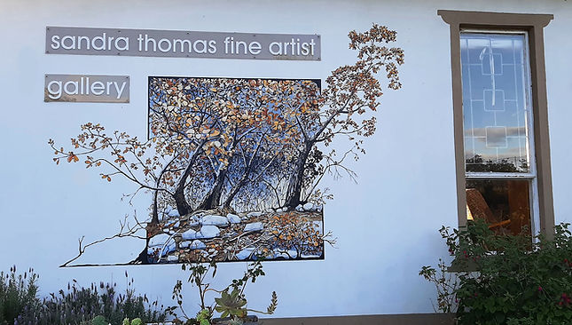 Contact | Sandra Thomas Artist