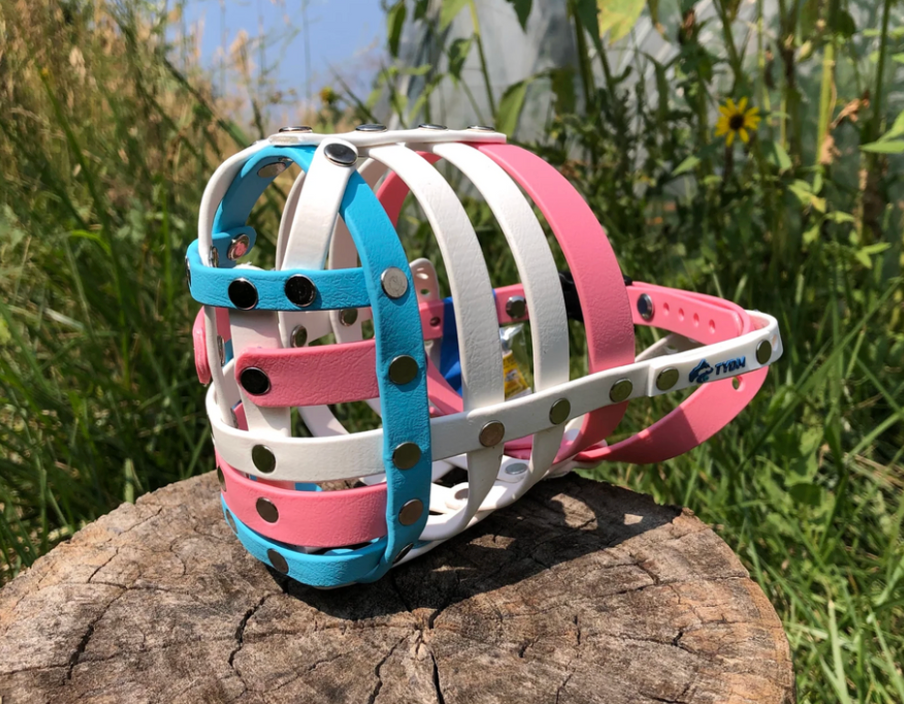 What Type of Muzzle Should I Buy For My Dog?