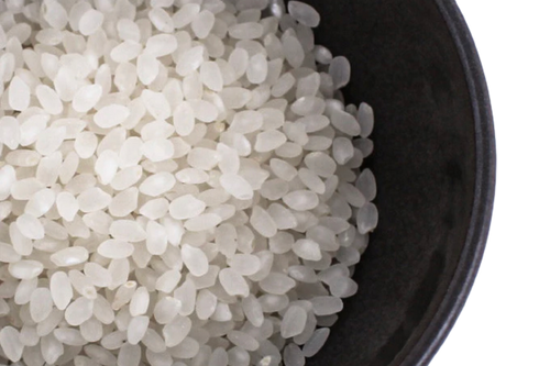 (1 KG) Koshi Hikari Premium Short Grain Rice | Ginza Market Kuwait