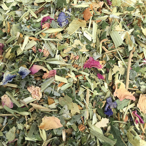 Modron Goddess Steam- Birth Trauma Recovery | dreamseed