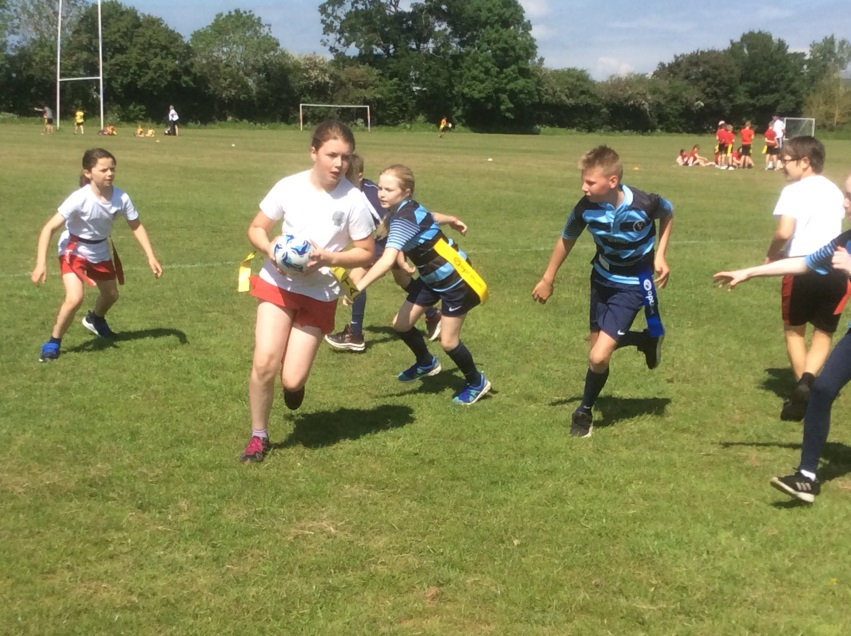 Tag Rugby Festival