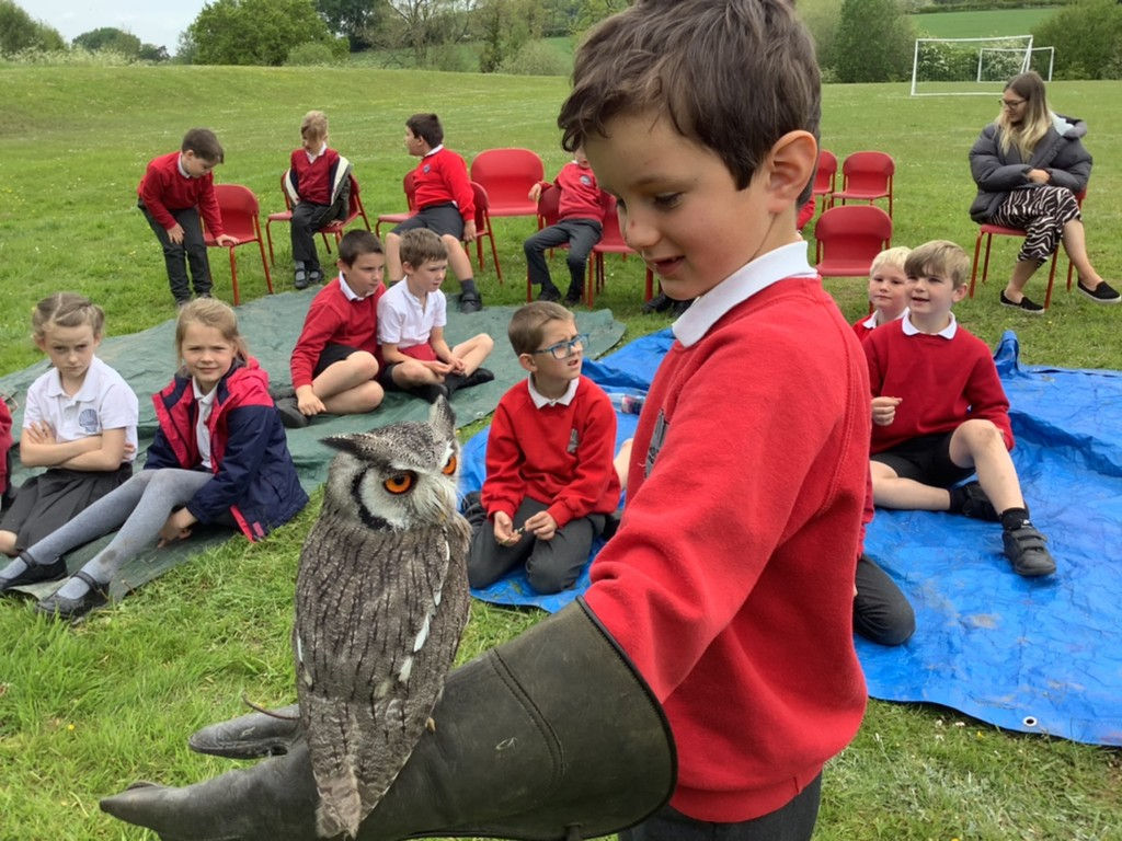 Cradley CE Primary School | EVENTS