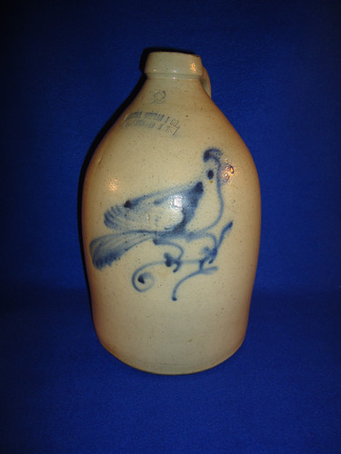 Haxstun, Ottman, Fort Edward, N.Y. Stoneware Jug with Bird on Branch ...