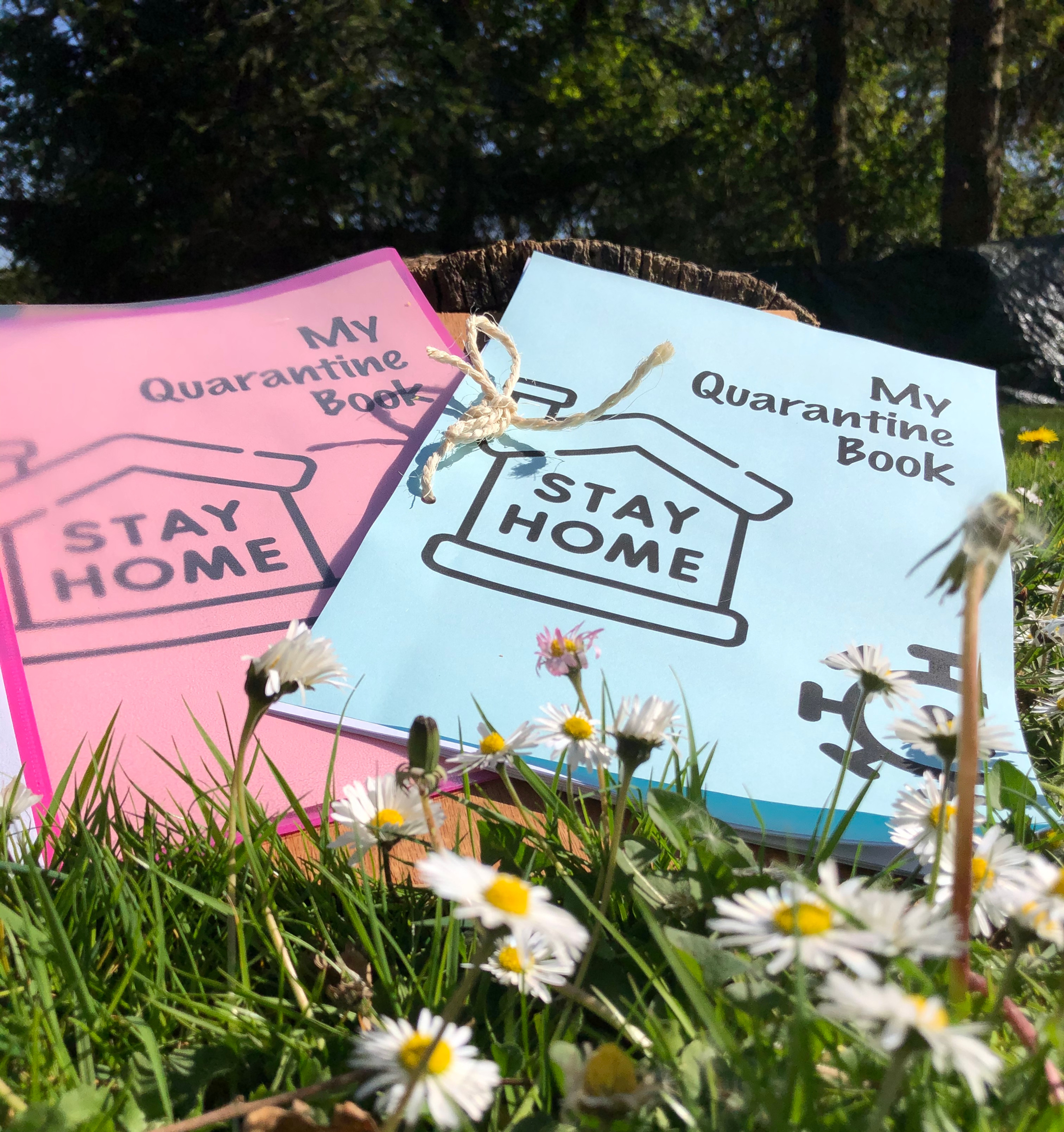 My Quarantine Book | Lifebook for Youth