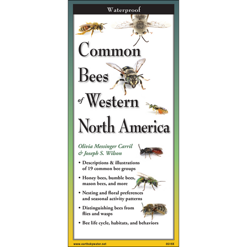 Common Bees of Western North America Folding Guide | The Bees In Your Bac
