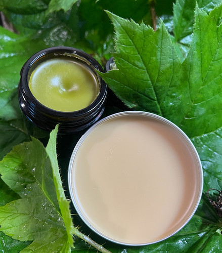 Devil's Club Salve | Tink Shack