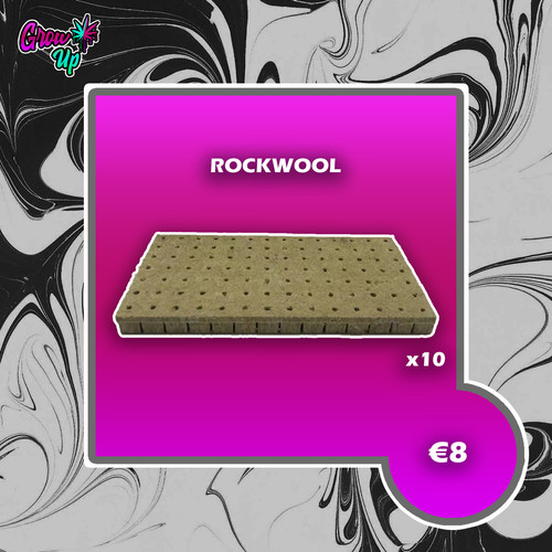 Rockwool - 10 Pack | Grow Up