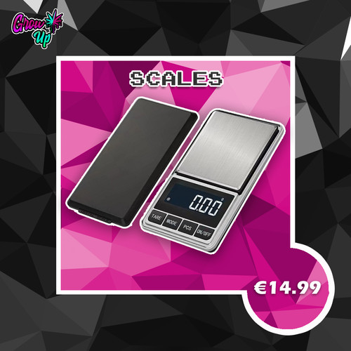 Grow Up Weighing Scales | Grow Up