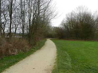 JAVA Run Rotselaar - Praktische Info