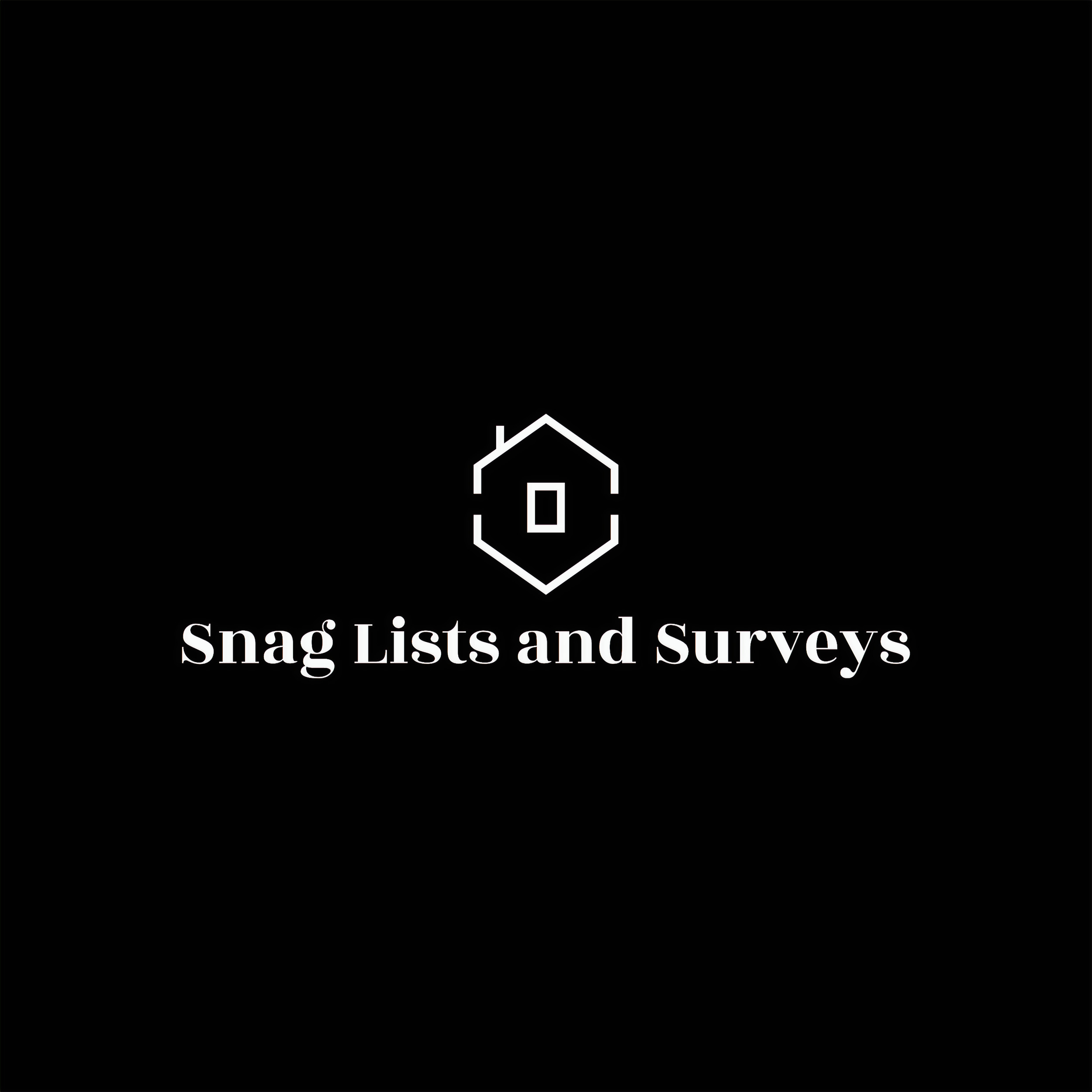 Snag Lists And Surveys
