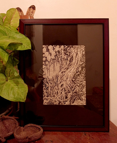 Ferns and strangler | Apratimpous