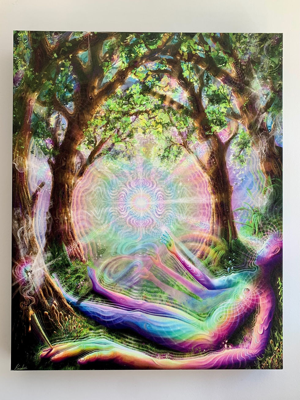 ‘Kushti’ Canvas print | bradley snook art