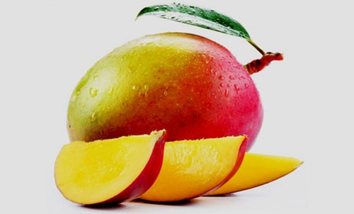 HADEN MANGO (Old time Favorite) - Grafted Tree | Tampa Tropical Asian