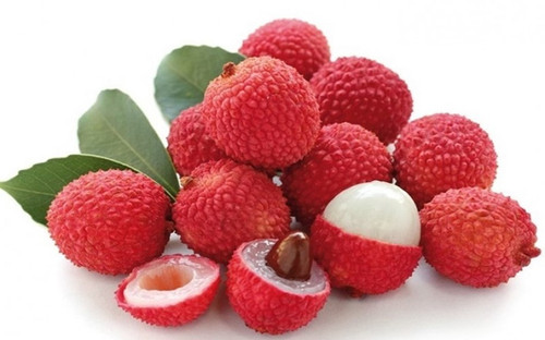 Lychee Mauritius- | Tampa Tropical Asian