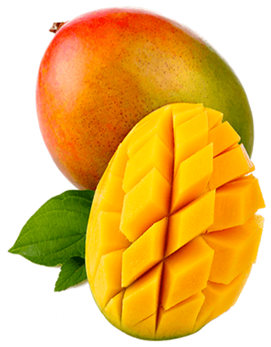 FRUIT COCKTAIL MANGO - Grafted Tree | Tampa Tropical Asian