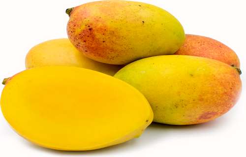 PICKERING MANGO - Grafted Tree | Tampa Tropical Asian
