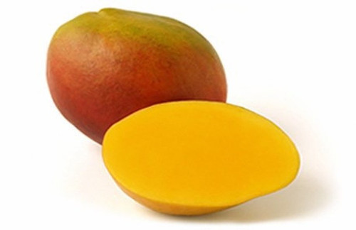 KENT MANGO - Grafted Tree | Tampa Tropical Asian