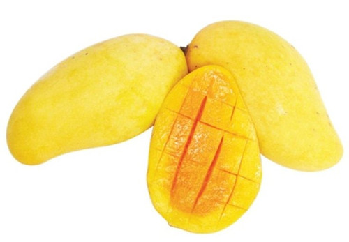 Chocanon or Chokanan Mango - Grafted Tree | Tampa Tropical Asian