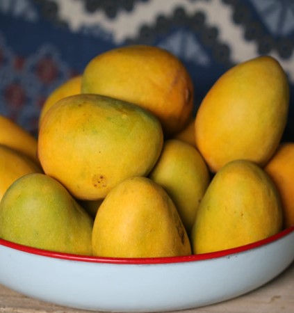 MANGOS | Tampa Tropical Asian