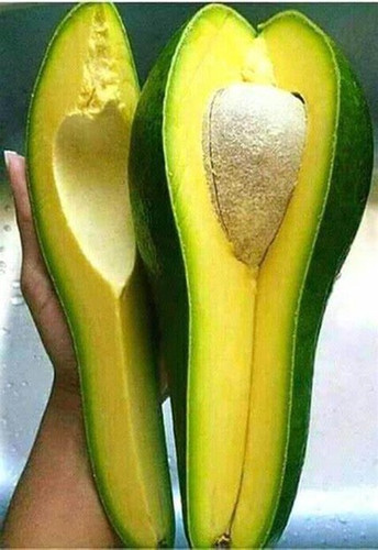 Russell Avocado Avocado Wikipedia