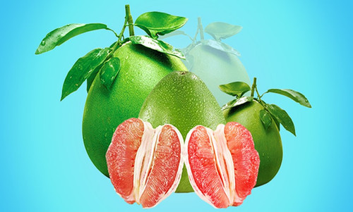 Pummelo Grapefruit - Hirado (Buoi da xanh Hirado) | Tampa Tropical Asian