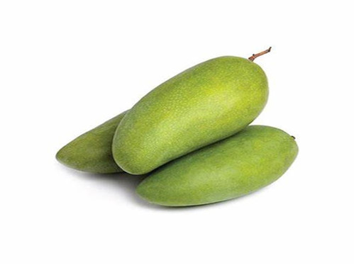 KIEW YAI MANGO - Grafted Tree | Tampa Tropical Asian