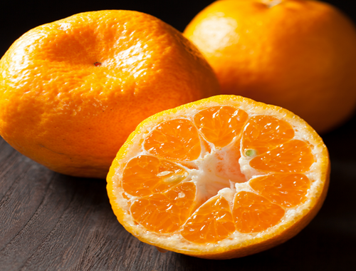 Ponkan Tangerine Quyt ngot | Tampa Tropical Asian