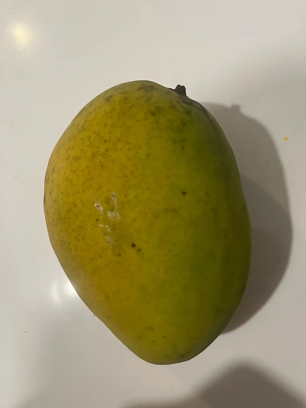 MANGOS | Tampa Tropical Asian