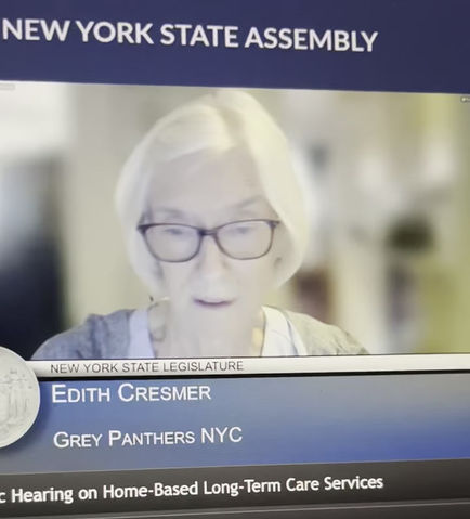 Edith Cresmer Delivers Testimony to NYS Assembly Members